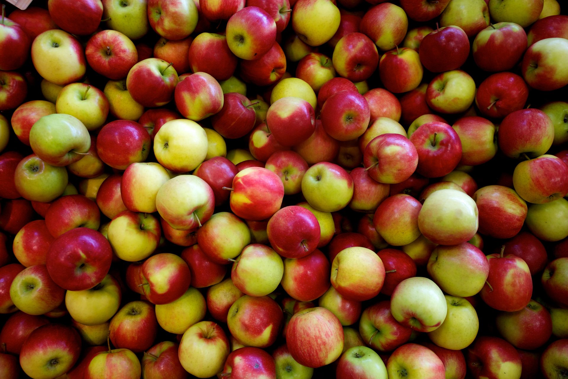 La boulangerie – pâtisserie - Ferme Rothgerber